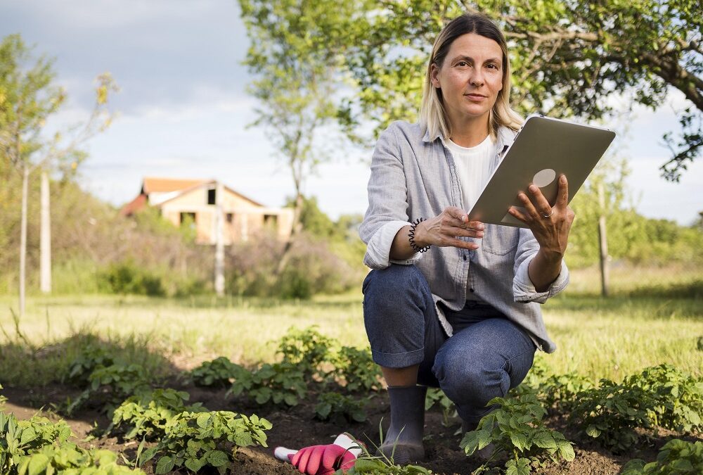 Internet rural: como funciona e qual a melhor opção? | Blog